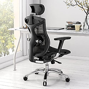 SIHOO Ergonomic Office Chair with 4D Arms, 2-Way Lumbar Support, Depth Adjustable Seat, PU Headrest, Height Adjustable Backrest, High Back Computer Desk Chair (Black)