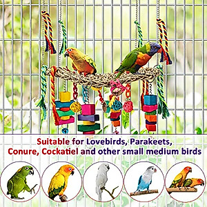 Bird Swing Toys, Bird Foraging Wall Toy, Seagrass Woven Hammock Swing Mat with Colorful Ropes Wooden Chew Toys for Lovebirds, Parakeets, Conures, Cockatiels