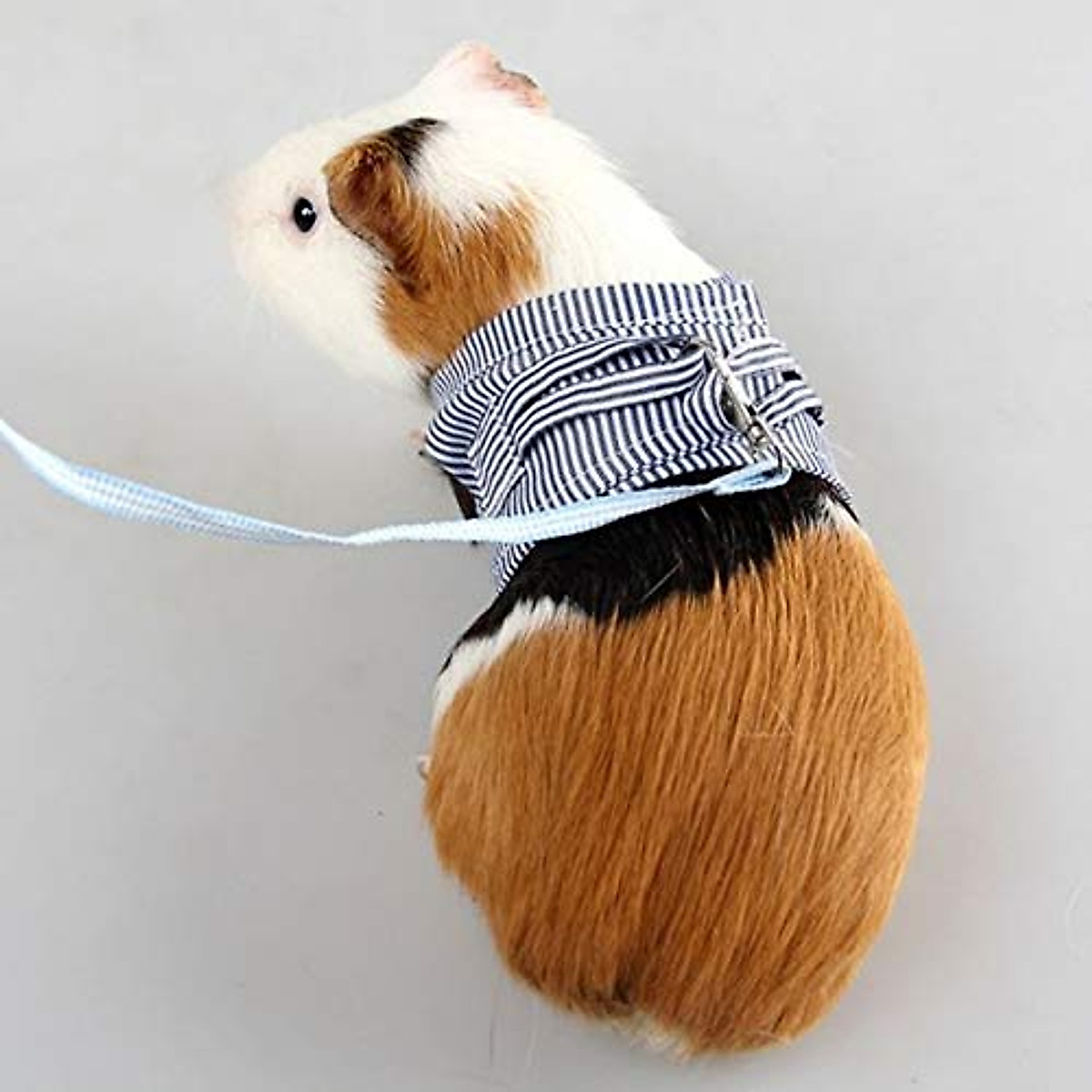 Small Animal Harness and Leash Guinea Pig Rabbit No Pull Comfort Padded Cotton Stripe Vest Suit for Chinchilla Puppy Kitten and Other Small Pets - Size S (Blue)