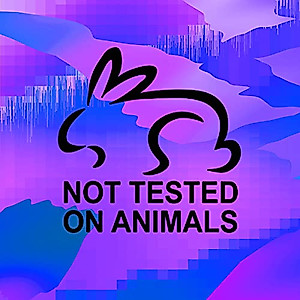 You Da Balm Organic Lip Balm, Coconut Flavor - 100% Natural Lip Moisturizer, USDA Certified - Lip Balm for Dry, Cracked Lips (2 Pack)