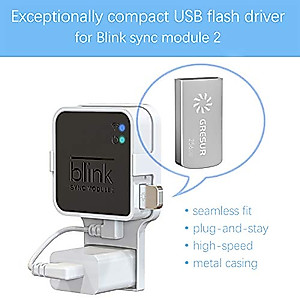 256GB Blink USB Flash Drive for Local Video Storage with The Blink Sync Module 2 Mount (Blink Add-On Sync Module 2 is NOT Included)…