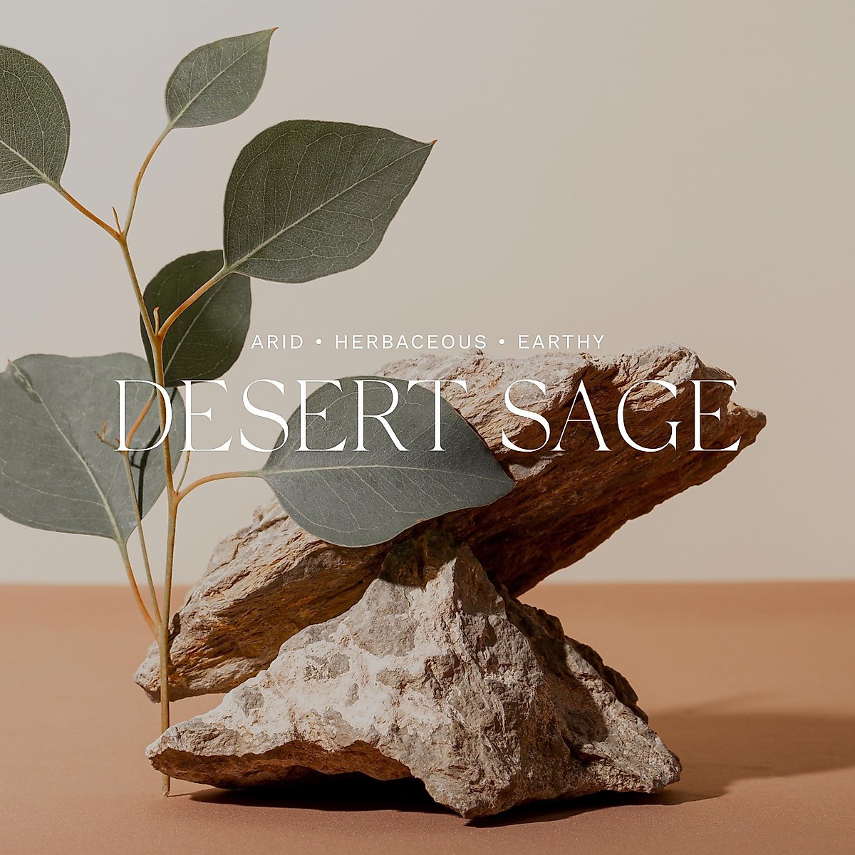 Antica Farmacista Room Spray Desert Sage, 3.3 Fl Oz