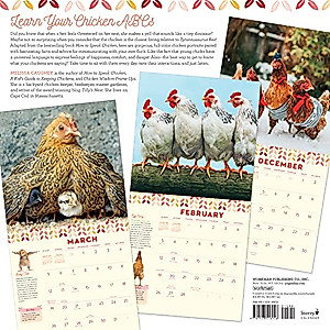 How to Speak Chicken Wall Calendar 2023: A Year of Chickens Doing What They Do & Saying What They Say