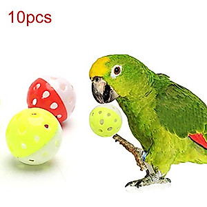 SPDD 10pcs Hollow Rolling Bell Ball Pet Bird Toy Parrot Chew Cage Fun Toys Parakeet Cockatiel Parrot Pet Toy