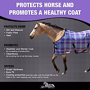 Kensington Breathable and UV Protective Sheet SureFit All Season Protection for Horse - 81", Lavender Mint