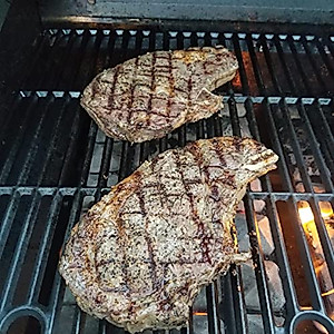 Shengyongh CC475 (3-Pack) 18 Inch Matte cast Iron Grates Replacement for Charbroil Performance 4 Burner 463376018P2, 463376117, 463377117, 463673617, 463377017, 463347017