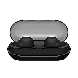 Sony WF-C500 Truly Wireless in-Ear Bluetooth Earbud Headphones (Black) with Earbud Case Bundle (2 Items)