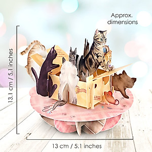 SANTORO Pirouette, 3D Pop Up Greeting Card - Purrrfect Parcel - For Her, For Mum, Mothers Day | Cute Birthday Gifts For Cat Lovers