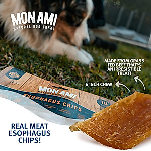 Mon Ami Beef Esophagus Chip Dog Treats (6 Inch, Pack of 20) – Gullet Treats for Dogs Made from Grass Fed Beef with Glucosamine & Chondroitin – Natural Dog Treats, Grain Free & High Protein Dog Chews