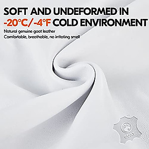 Vgo... High Dexterity Goatskin Leather Winter Warm Ski Gloves Waterproof Insert, Touchscreen, Cold Storage Work Gloves, G200 Thinsulate, (1 Pair,M, GA8435FW)