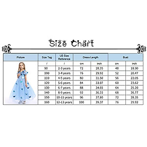 SNOWLION Princess Elsa Costume for Little Girls Toddler Princess Dress Up with Accessories Cinderella Cosplay Queen Snow (Blue, 3-4 Years)