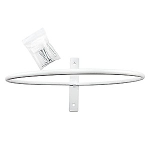 Esterno Metal Wall Ring Planters (8-Inch, White); Wall-Mounted Garden Pot Holders