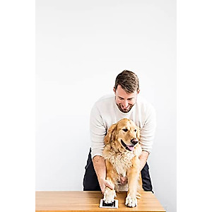 Pearhead Pet Clean-Touch Ink Pad, Medium/Large, Black Ink Pad for Cats or Dogs, Pet Owner, Pet Owner Must Have Item, Pet Memory Keepsake, for Medium to Large Pets