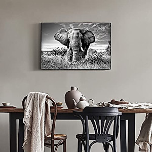 SunFlax Elephant Wall Art Canvas Artwork: African Wild Animals Picture Jungle Landscape Large Painting Black and White Wildlife Portrait Print for Modern Living Room Bedroom Bathroom Ready to Hang