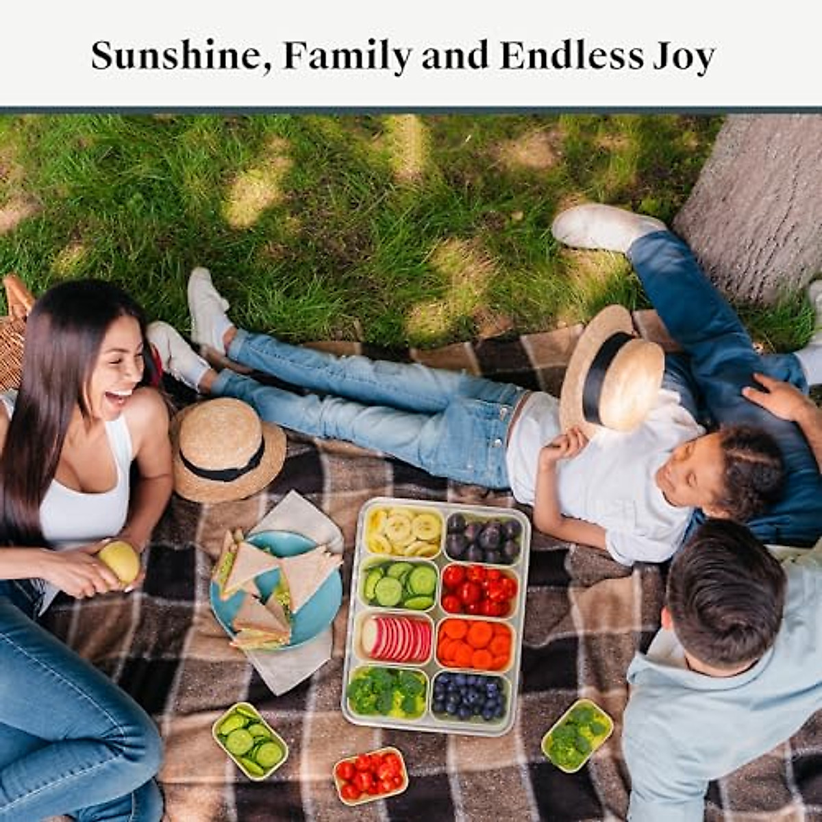 spaclatio Snack Box Container and Divided Serving Tray with Lid and Handle, Dishwasher Safe 8 Removable Compartments Snackle Box Container Multi-purpose as Fruit Tray for Picnic, Beach 1 Pack (White)