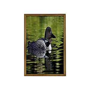 Ambesonne Loon Framed Wall Art, Waterbird Swimming in a Lake in Spring Outdoor Scene, Fabric Poster with Walnut Tone Wood Frame Home Dorm Decor, 23" x 35", Green Dark Grey
