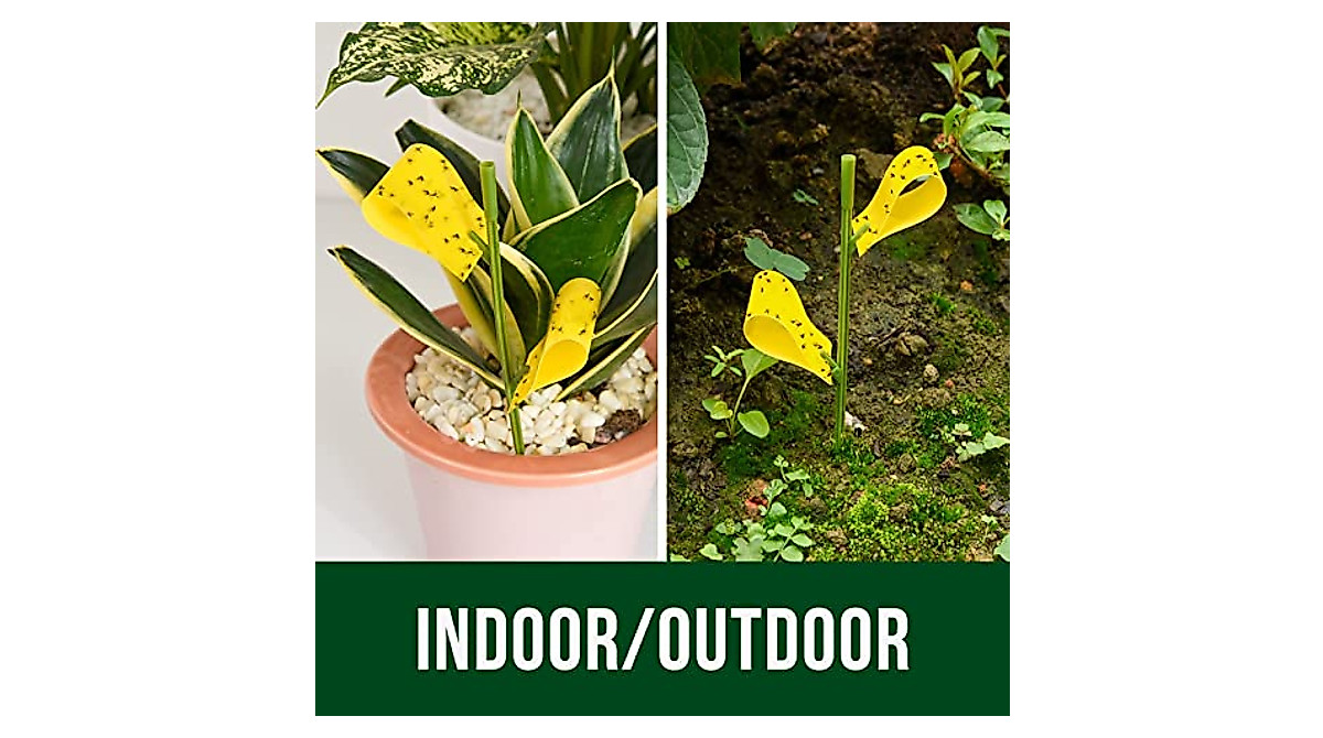Garsum 21 Sticky Houseplant Traps for Indoor Pests