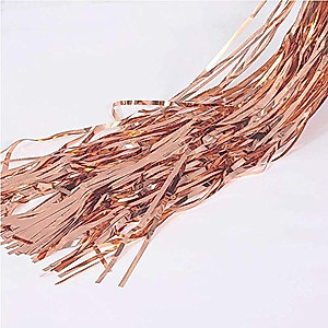 2PCS Rose Gold Foil Fringe Curtains Photo Backdrop,3ft x 8.3ft Metallic Tinsel Curtains for Birthday Wedding Engagement Bachelorette Party Bridal Shower Baby Shower Decorations Favors Supplies