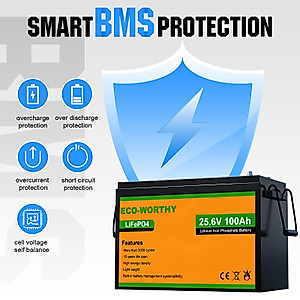 ECO-WORTHY 8KWh 2000W 24V MPPT Solar Power Kit System for Home: 10pcs 195W Solar Panel+ 2pcs 25.6V 100Ah Lithium Battery+ 60A MPPT Controller+ 3000W 24V Pure Sine Wave Inverter+ 6 String Combiner Box