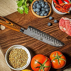 Professional Damascus Chefs Knife, 67-layer Handmade 7" Damascus Santoku Knife, Japanese VG10 Super Steel Core