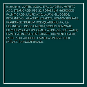 innisfree Green Tea Hydrating Cleansing Foam Creamy Face Cleanser