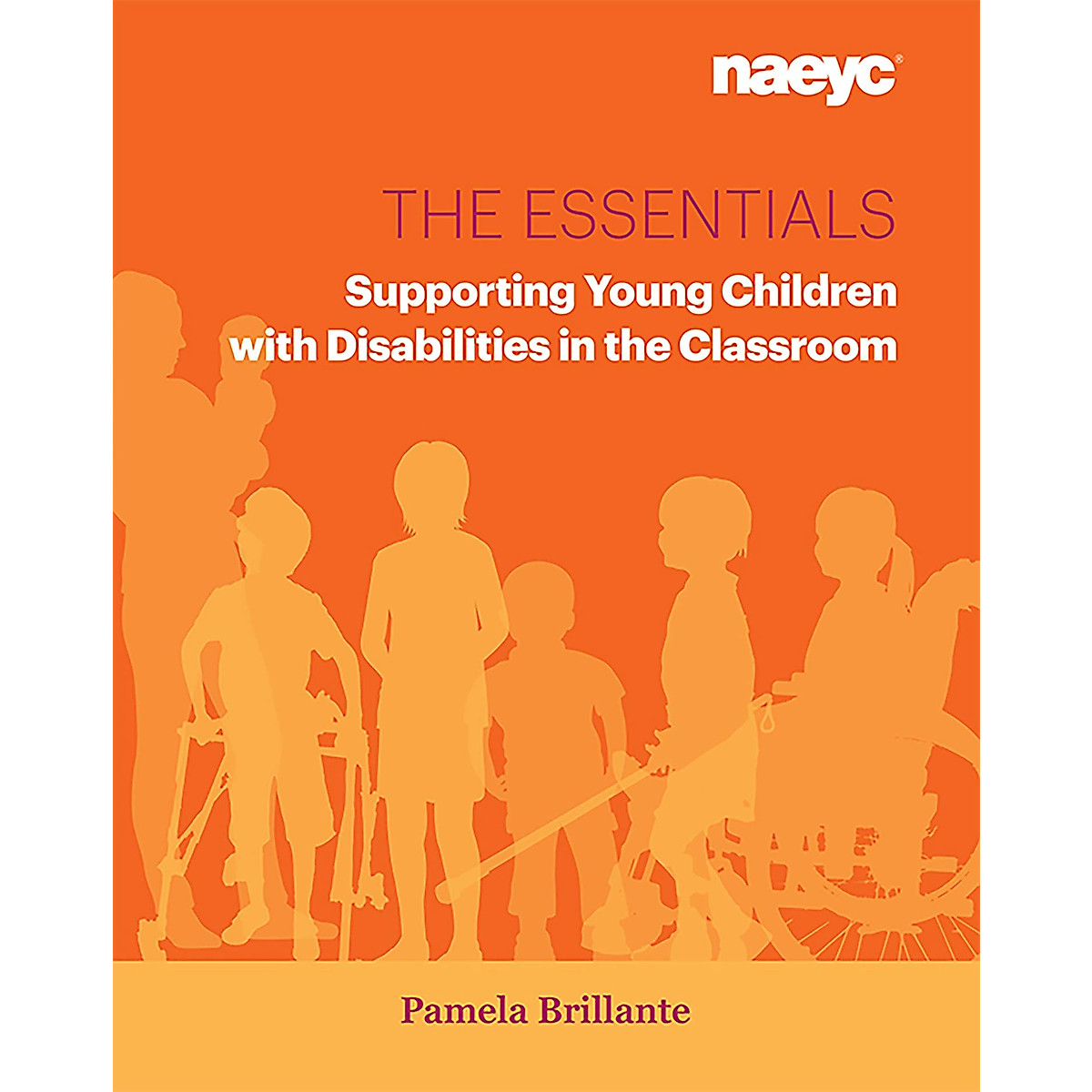 The Essentials: Supporting Young Children with Disabilities in the Classroom (The Essentials Series)
