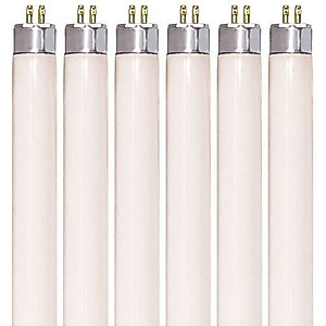 BULBMASTER F8T5 CW Fluorescent Bulbs 12 Inch - F8 T5 8W Cool White 4100K Fluorescent 12" Under Cabinet Light Bulbs Linear T5 380 Lumens - Under The Counter Small Fluorescent Light Bulb - Pack of 6