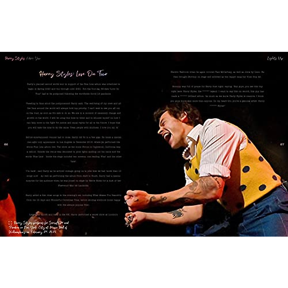 Harry Styles: Adore You: The Illustrated Biography