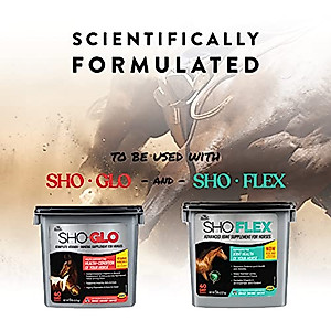 Manna Pro Sho-Hoof Supplement for Horses | Biotin and Zinc Methionine for Healthy Hooves | 5 Pounds