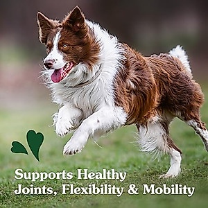 Greenies Supplements Hip and Joint Supplements for Dogs, Chicken Flavor, 30 Count Soft Chews Dog Joint Supplements, 6.08 oz.
