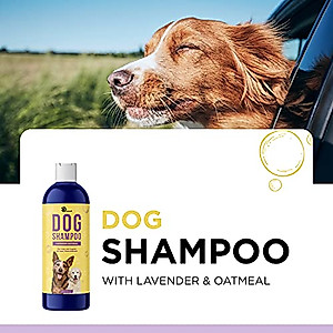 Cleansing Dog Shampoo for Smelly Dogs - Refreshing Colloidal Oatmeal Dog Shampoo for Dry Skin and Cleansing Dog Bath Soap - Moisturizing Lavender and Oatmeal Shampoo for Dogs and Great Smelling Pups