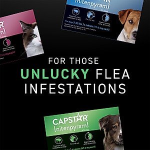 Capstar (nitenpyram) for Cats, Fast-Acting Oral Flea Treatment for Dogs 2-25 lbs, Vet-Recommended Flea Medication Tablets Start Killing Fleas in 30 Minutes, 12 Doses