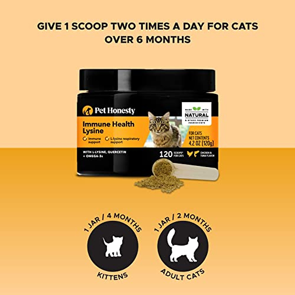PetHonesty Immune Health Lysine - Supplement Powder for Cats - Immune Health, Cat Allergy Relief - Sneezing, Runny Nose, Watery Eyes - Cats & Kittens of All Ages - Omega 3s, L-Lysine - Chicken & Fish
