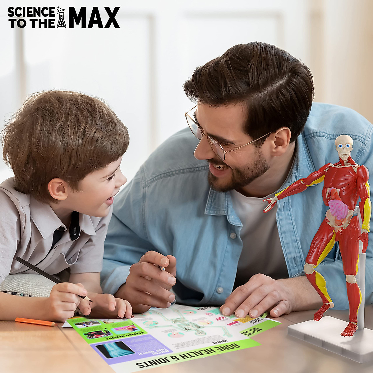 Be Amazing! Toys Interactive Human Body - 60 Piece Fully Poseable Anatomy Figure – 14” Tall Model - Anatomy Kit – Removable Muscles, Organs,Bones STEM Toy – Ages 8+