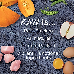 Instinct Raw Boost Gut Health Grain Free Recipe with Real Chicken Natural Dry Dog Food by Nature's Variety, 4 lb. Bag