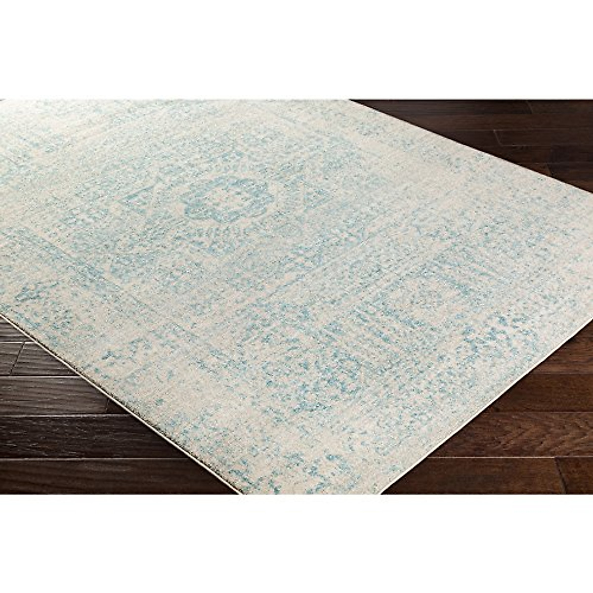 Valeria Teal and Beige Updated Traditional Area Rug 2' x 3'