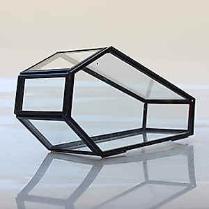 libproqia Small Coffin Glass Jewelry Box Black Trinkets Glass Coffin Terrarium Gothic Halloween Storage Vintage Coffin Box Glass Vampire Keepsake Display Organizer