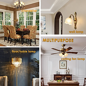 SerBion 40 Watt Light Bulbs E12 Candelabra Base 120Volt Round Light Bulb for Chandelier Table Lamp Wall Sconces Candle Lamp Wax Melter (Soft Warm White)