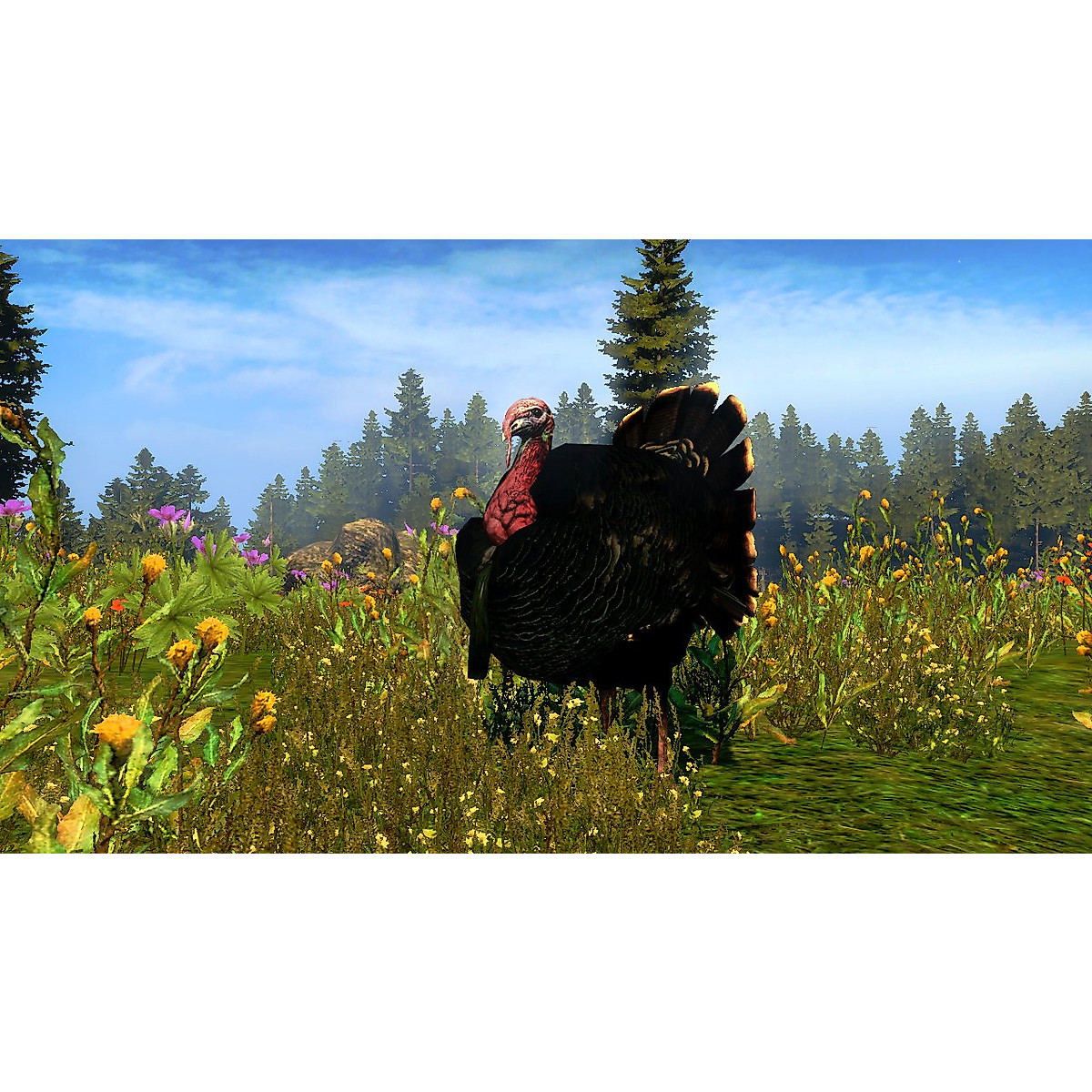 Cabela's Outdoor Adventure '10 - Playstation 3