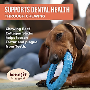 Benefit Pet Products Collagen Sticks for Dogs - Single Ingredient Dog Treat, Rawhide Free, Collagen Chews for Dogs, Long Lasting Dog Chew, Alternative to Bully Sticks (6 inch, 5 Sticks)