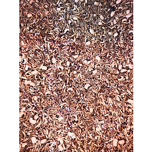 No-Till Cover Crop 10 Seed Mix - Winter Rye, White Clover, Austrian Winter Peas, Triticale, Crimson Clover, Cow Peas, Daikon Radish, Purple Turnips, Wheat, Oats, (25 Pounds)