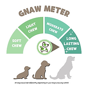 Nature Gnaws Collagen Springs for Dogs (10 Count) - Long Lasting for Small and Medium Dogs - Natural Beef Hide Dog Chew Bones