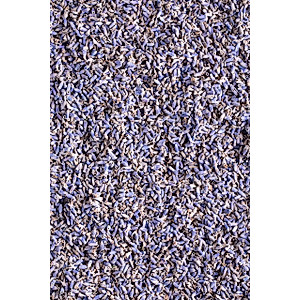 Organic Lavender Tea | 100% Certified Organic | Food Grade Dried Lavender Flowers | Perfect for Tea, Baking, Lemonade, DIY Beauty, Sachets & Fresh Fragrance | 100% Raw Albanian Harvest | Large 4oz
