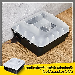 Qualirey 2 Pcs Rat Bait Stations with Keys 11.22 x 9.25 x 5.12 Inches Rodent Station with Clear Lid Indoor Outdoor Mouse Trap Keep Pet and Children Safe Bait Boxes, Bait Not Include