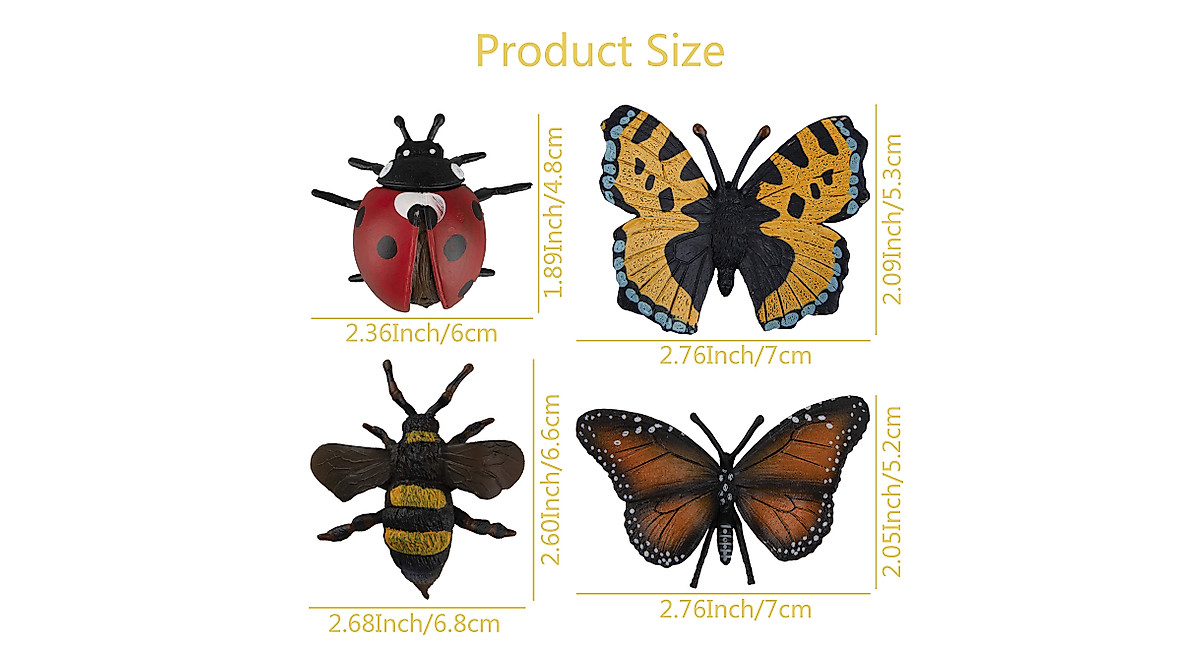 Toymany Realistic Bug Figures Set - 12 High-Quality Toys