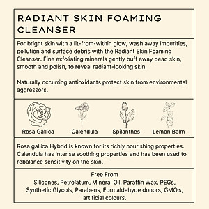 Jurlique Radiant Skin Foaming Facial Cleanser , 2.8 Oz (Pack of 1)