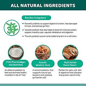 Wellnergy Daily Probiotic & Prebiotics Soft Chew for Dogs & Cats - Digestive Support for Diarrhea, Constipation, Upset Stomach, Indigestion & Gas - Helps Digestion, Allergy Skin & Immune Health 160ct