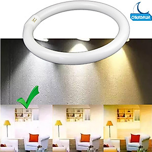 FC8T9 22W and FC12T9 32W Daylight Set , Round Fluorescent Bulb 8 inch T9 22 Watts & Circular Light Bulbs 12 inch 32 Watts kit, Circline Kitchen and Bath Fluorescent Lamp, CRI 80, DL 6500K, G10q Prong