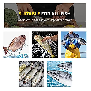 ADORAMBLING Fish Scaler Stainless Steel Fish Scaler Remover with 58 Sawtooth Easily Remove Fish Scales Fish Descalers Fish Scraper for Chef and Home Cooks