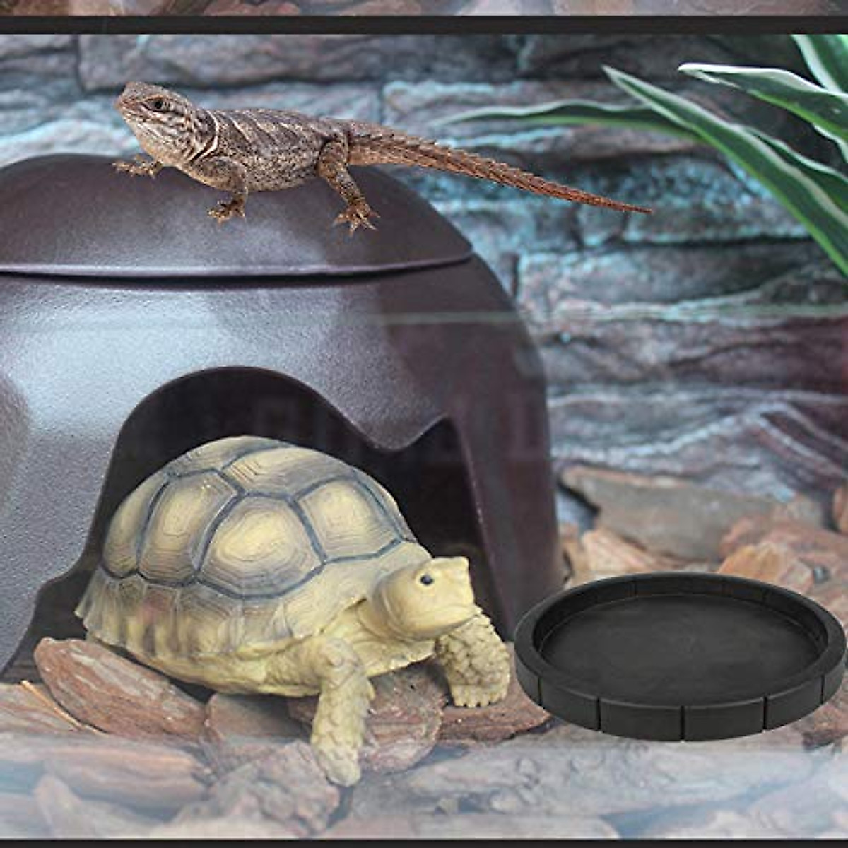 Fuongee Reptile Feeding Dish Bowl Food and Water Bowl Tortoise Dish Reptile Tank Decor, Dia 6.7 Inches, Round
